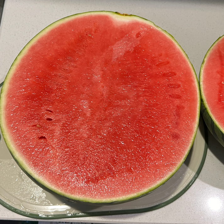 Ruby Watermelon Seeds – gooob